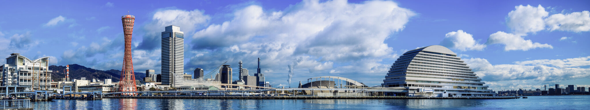 WHO WE ARE | The Delta Trading, Ltd.